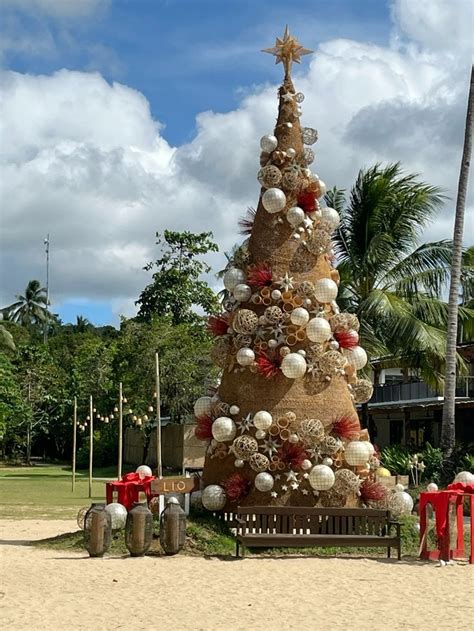 Decorated Christmas Tree On Palawan Beach Island Christmas Tree Bali
