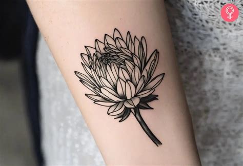 8 Symbolic Protea Tattoo Designs Evoking Beauty And Endurance
