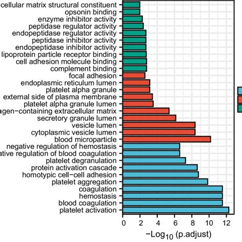 Go Analysis Of Biological Processes Bp Cellular Component Cc And Download Scientific