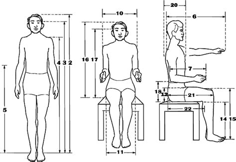 Classroom Furniture Dimensions And Anthropometric Measures At Lashay Carlson Blog