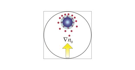 Diffusiophoresis Of A Soft Spherical Particle In A Spherical Cavity The Journal Of Physical