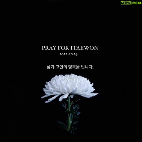 Carson Allen Wiki Biography Age Gallery Spouse And More