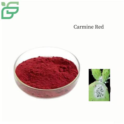 Carmine Red Color Manufacturer Supplier