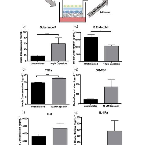 Forskolin Differentiated F11 Cells Display Properties Of Sensory
