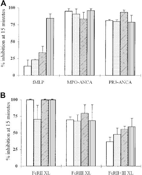 Effect Of Ly294002 On Fmlp Anca And Anti Fcr Superoxide Production Download Scientific