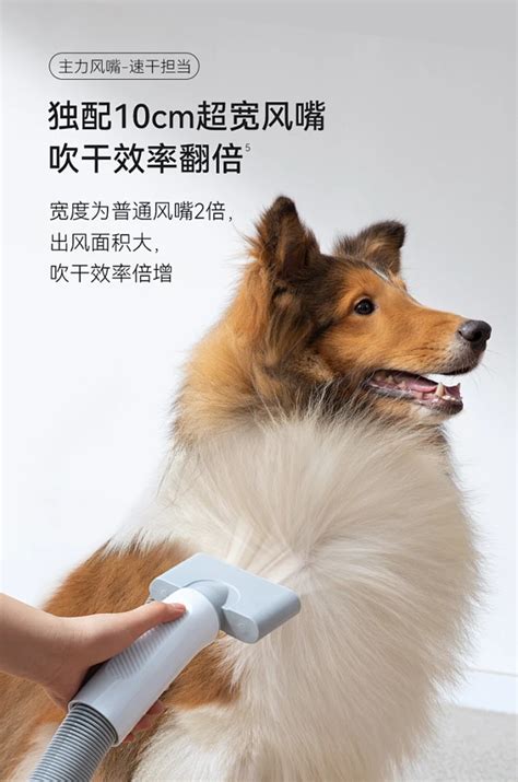 霍曼宠物吹水机狗狗烘干吹风专用吹干自动吹毛犬洗澡家用神器静音 天猫 花瓣网