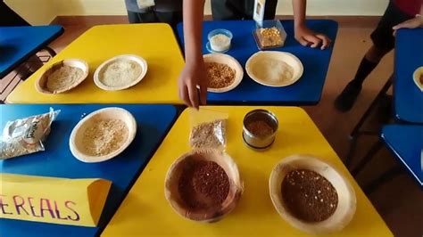 Science Activity Grade 2 Youtube