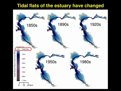 Ppt Historical Sedimentation In The San Francisco Estuary Powerpoint