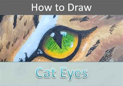 How To Draw A Cat Eye With Markers Art By Ro How To Draw A Cat Eye With Markers Art By Ro