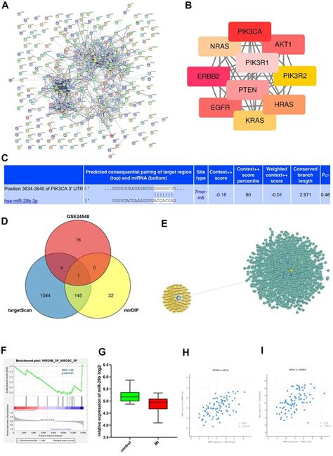 Ppi Network Analysis And Mirna Target Gene Prediction A Ppi Network Download Scientific
