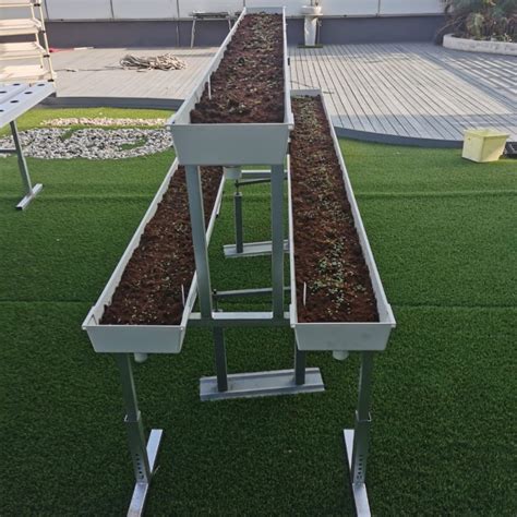 Hydroponic Strawberry Farming Strawberry Seedlings Growing Systems