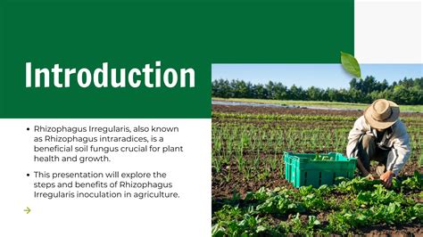 Rhizophagus Irregularis Maximizing Benefits For Plant Health Pdf