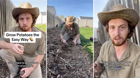 Homesteader Reveals Easy Way To Grow Kitchen Staple Not Even 10 Minutes And Ive Planted A