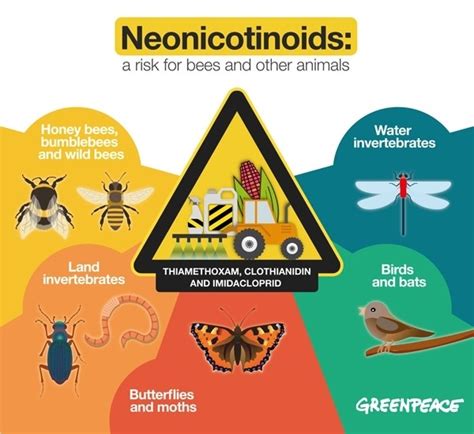 Scientists Warn Against Neonicotinoid Insecticides Africa