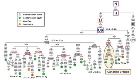 Archaeogenetics Flickr