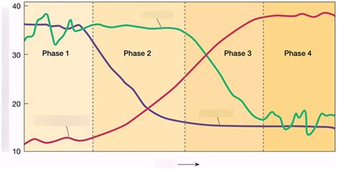 Demographic Transition Diagram Quizlet
