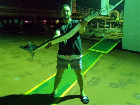 Krokodilska Iglica Na Udici