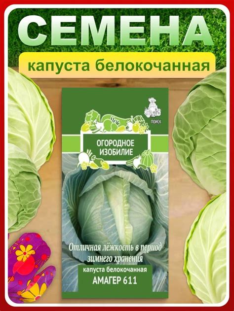 Капуста ПОИСК Агрохолдинг Капуста белокочанная ПОИСК купить с