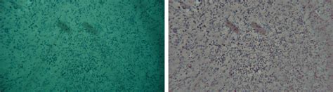 Figure 1 From Seabed Classification Using A Bag Of Prototypes Feature