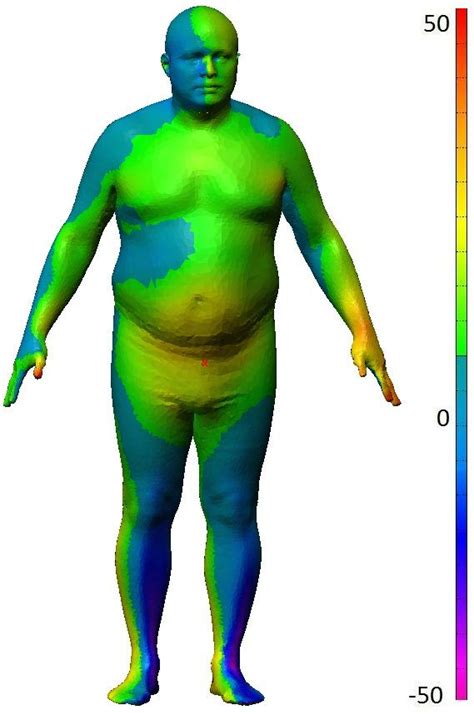 Estimating 3d Human Shapes From Measurements Deepai