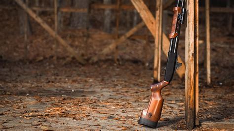 Ammo Options For Your Mossberg 500 Shotgun Woox
