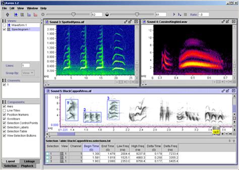 Free Sound Analysis Software Downqup