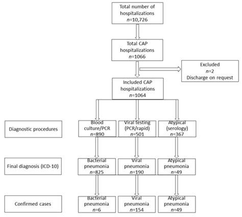 Bronchopneumonia Pathophysiology