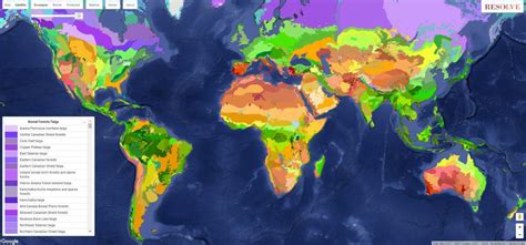 Taiga Biome Map