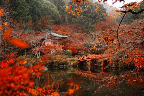 Autumn In Kyoto Best Spots For Seeing Autumn Leaves