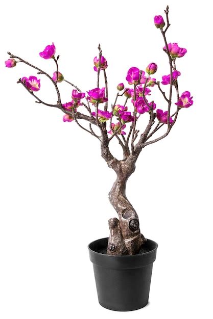 Premium Photo Artificial Tree Isolated