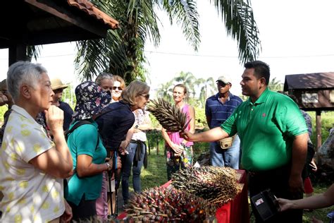 Dec 2018 Visit To The Sime Darby Palm Oil Plantation Mcgkl