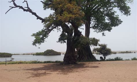 Visiter Simal Préparez Votre Séjour Et Voyage Simal