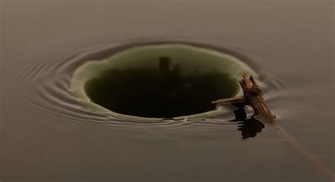 Differentiate Between Point Source And Nonpoint Source Pollution In A Watershed Context → Learn