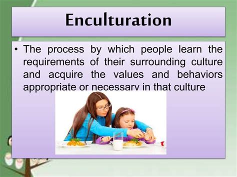 Enculturationandsocialization 170808021339pdf