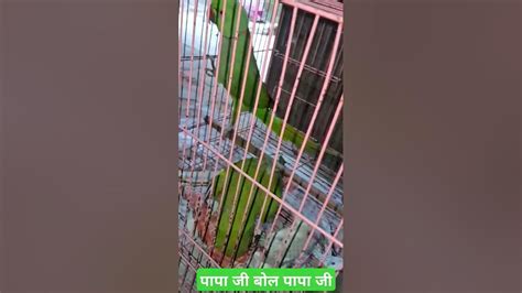 Mithuri Shorts Funny Comedy Youtube