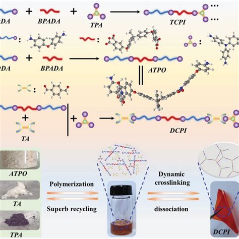 Ac Schematic Of Molecular Composition Of Tcpi And Dcpi D Digital Download Scientific