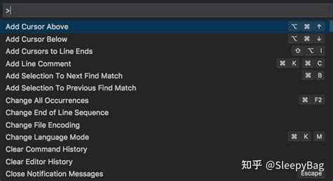 Paletteau 为 Windows 应用提供通用命令面板 知乎
