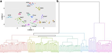Genome Wide Dna Methylation Profiling Support Tectal Glioma As A Download Scientific Diagram