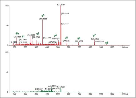 Targeted High Resolution Quantification With Tof Mrm And Hd Mrm Waters