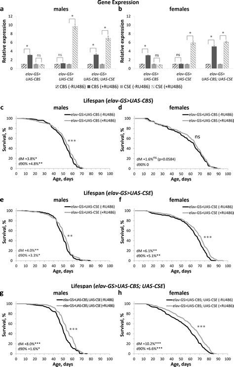 Estimation Of Cbs And Cse Genes Expression Levels A B Survival Download Scientific Diagram Estimation Of Cbs And Cse Genes Expression Levels A B Survival Download Scientific Diagram
