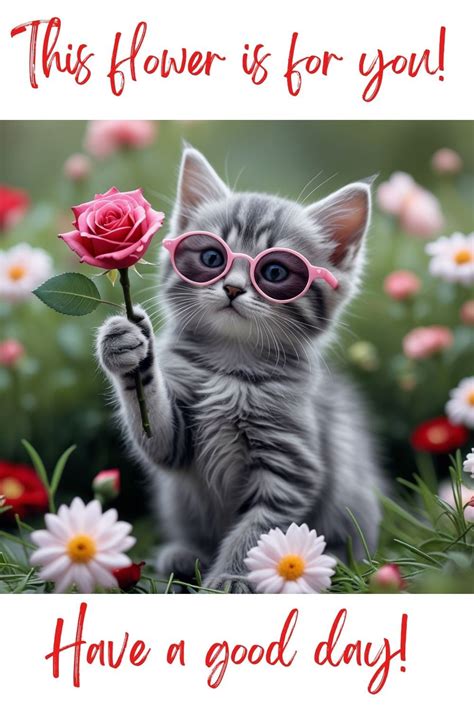 Have A Good Day Greeting Card With A Cute Funny Cat Enjoy In 2025