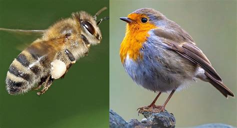 What Should Sex Ed For Autistic People Look Like — Thinking Persons Guide To Autism