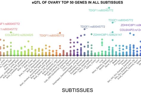 Rna Seq Ovary