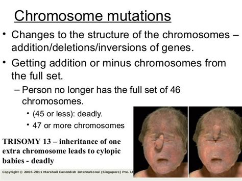 Bio Matters Ch19 Heredity 1