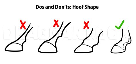 How To Draw Horse Hoof Prints