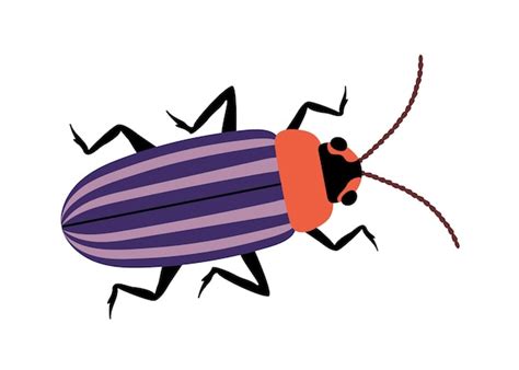 Premium Vector Cute Insect Concept Violet Bug Or Beetle Fauna And