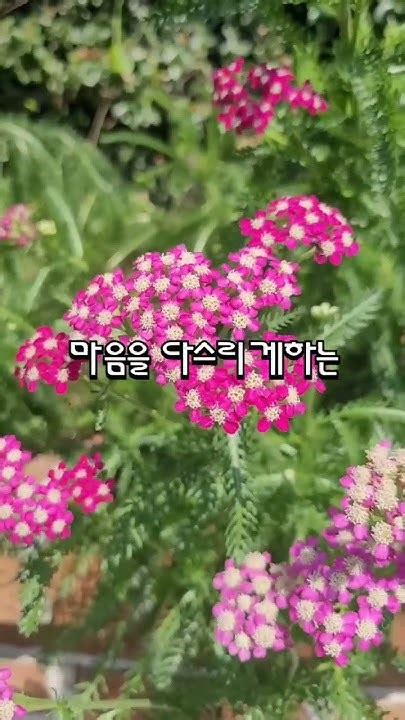 도하영 스티커사진 이 비가 그치면 무슨일이 생길까요 여행 크린토피아 Youtube 도하영 스티커사진 이 비가 그치면 무슨일이 생길까요 여행 크린토피아 Youtube