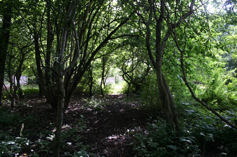 Unik Ungdoms Kulturel Forening Hillerød