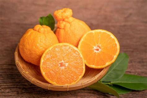 Quelles Sont Les Valeurs Nutritionnelles De Lorange Information