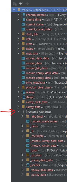 help about python protected attributes access multi image file info